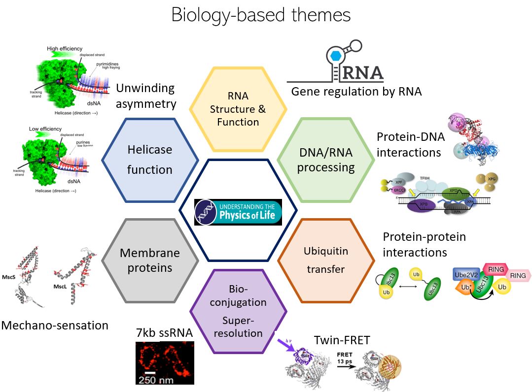 The two schemes below show the main biology areas in which we are ...